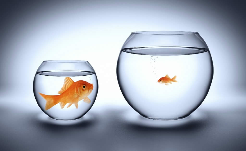 What size company is the right fit for you? Viewpoint – careers advice blog